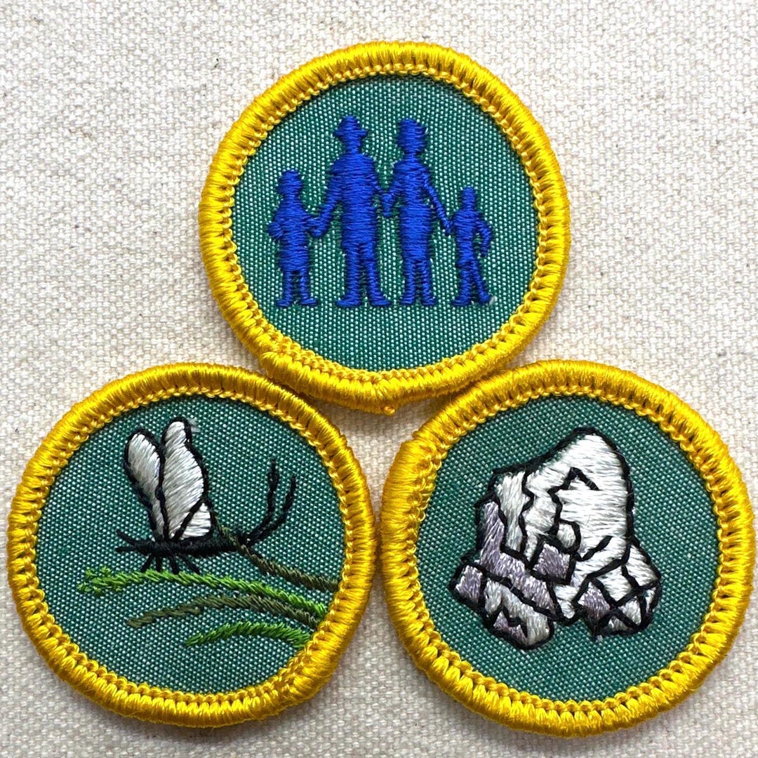 Vintage 1963-1974 Girl Scout Badges: RETIRED Cadette Proficiency ...