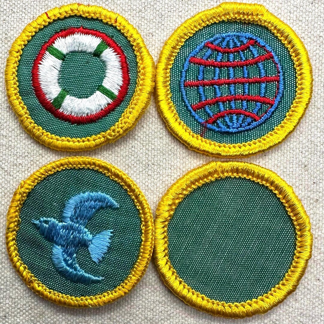 Vintage 1963-1974 Girl Scout Badges: RETIRED Cadette Proficiency ...