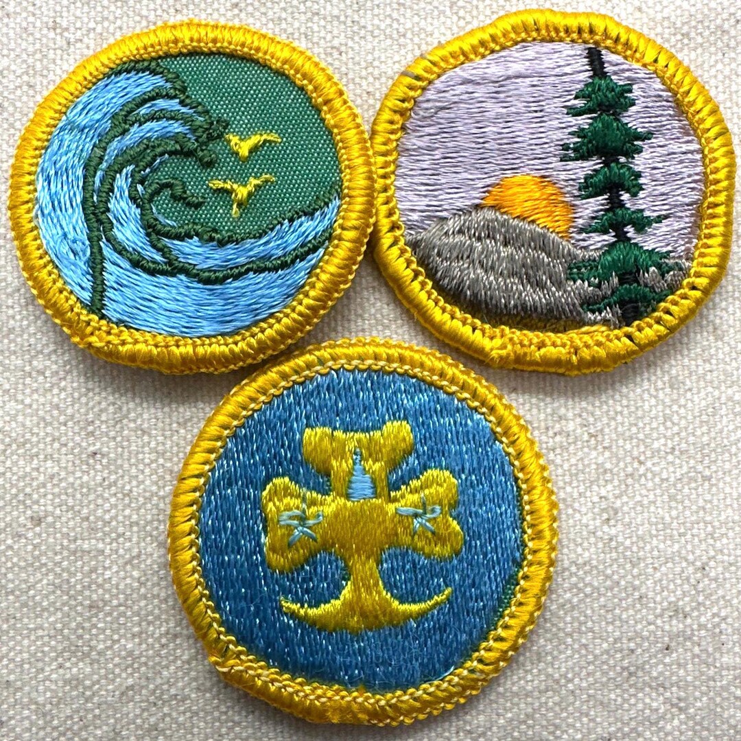 Vintage 1963-1974 Girl Scout Badges: RETIRED Cadette Proficiency ...