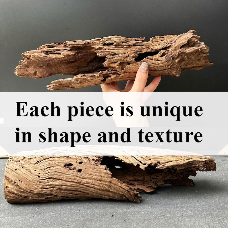 Natural Hollow Driftwood Aquarium Log Aquascape Drift Wood Stump Bonsai ...