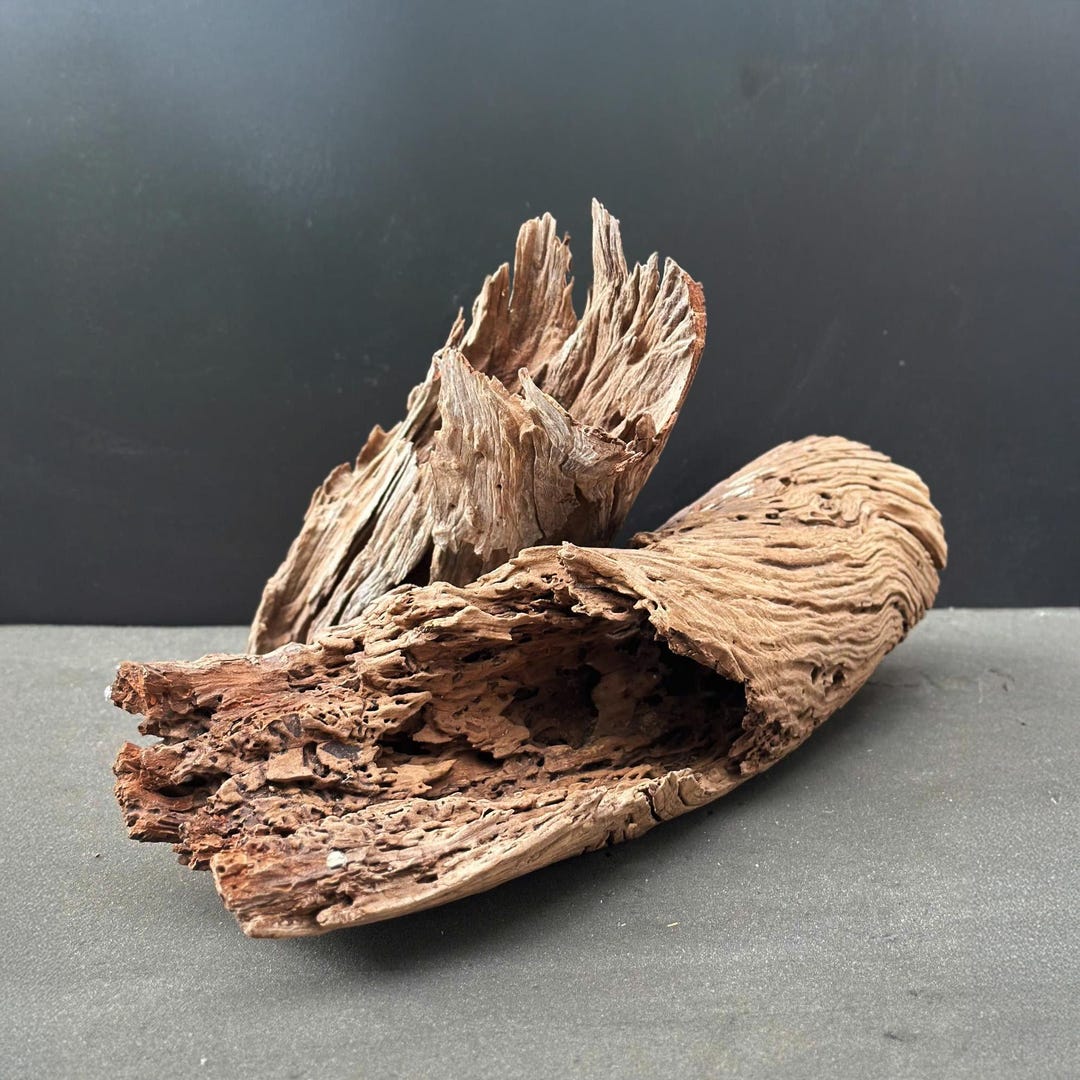 Natural Hollow Driftwood Aquarium Log Aquascape Drift Wood Stump Bonsai ...