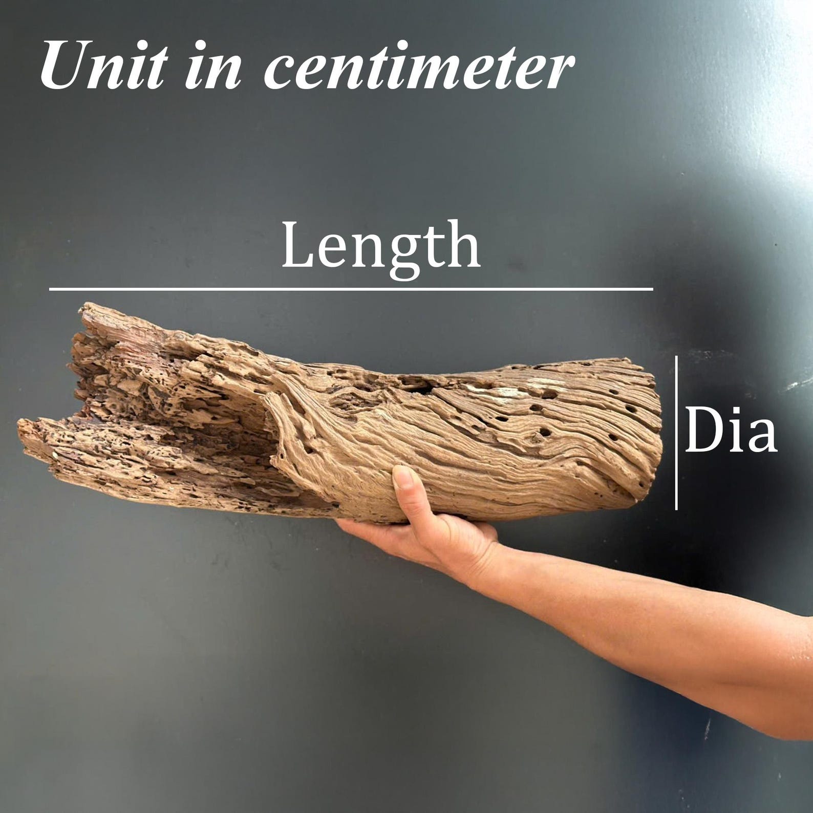 Natural Hollow Driftwood Aquarium Log Aquascape Drift Wood Stump Bonsai ...