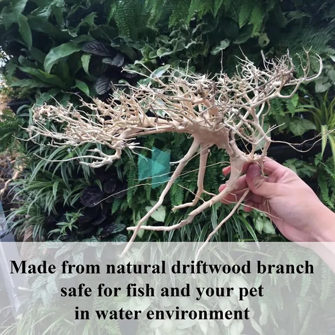 Aquarium Bonsai Driftwood Aquascape Tree Drift Wood Aquascaping Wood ...