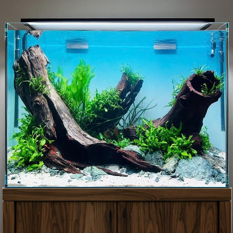 Natural Hollow Driftwood Aquarium Log Aquascape Drift Wood Stump Bonsai ...