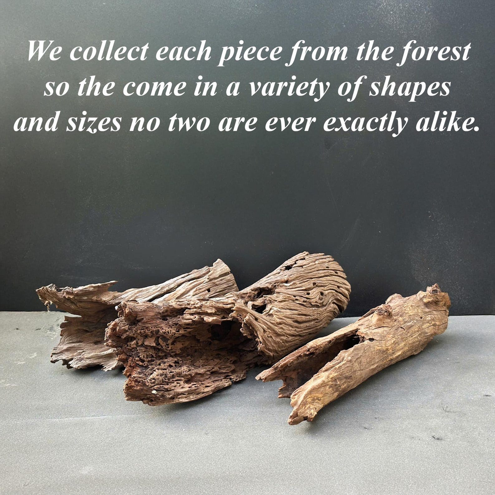 Natural Hollow Driftwood Aquarium Log Aquascape Drift Wood Stump Bonsai ...
