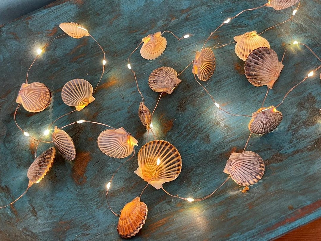 Nantucket Scallop Shell Fairy Lights - Etsy
