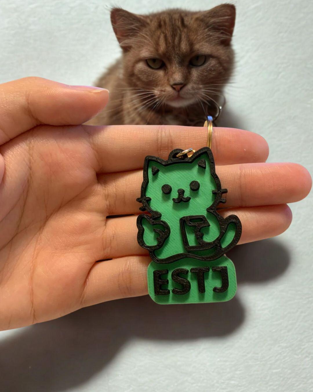 ESTJ | MBTI Personality Cat Keychains - Find Your Purr-fect Match ...