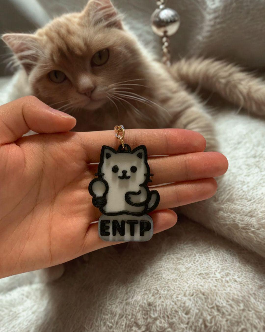 ENTP | MBTI Personality Cat Keychains - Find Your Purr-fect Match ...