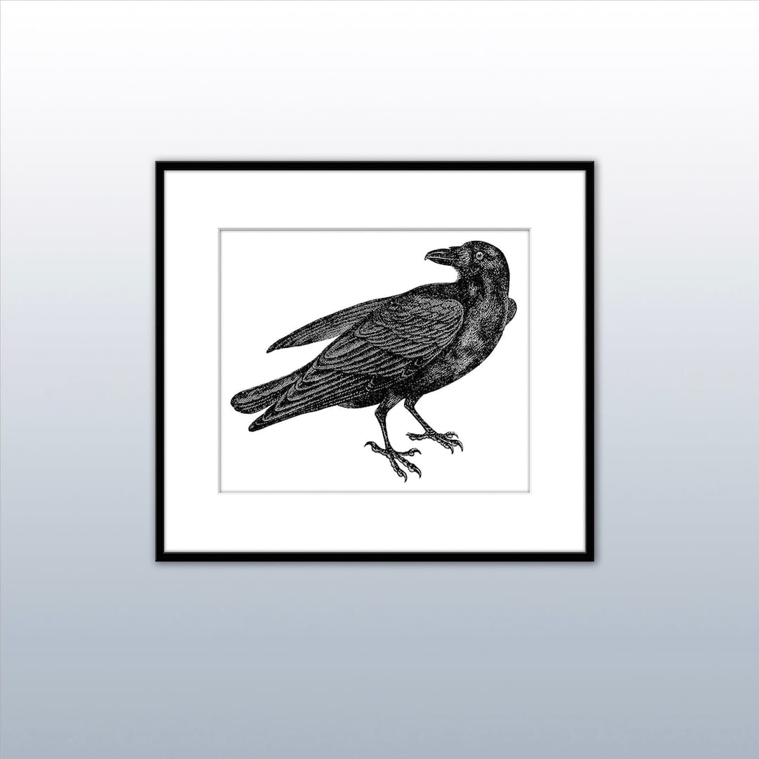 INSTANT DOWNLOAD ~ Raven Vintage Engraving Illustration Suitable for ...