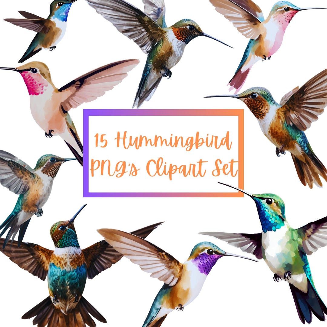Watercolor Hummingbird Clipart: 15 PNG Birds Flying Graphics (digital ...