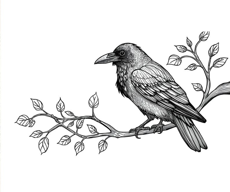 Raven Magic Guide: 80 Page PDF Animal Spirit Guide & Shadow Work Book ...