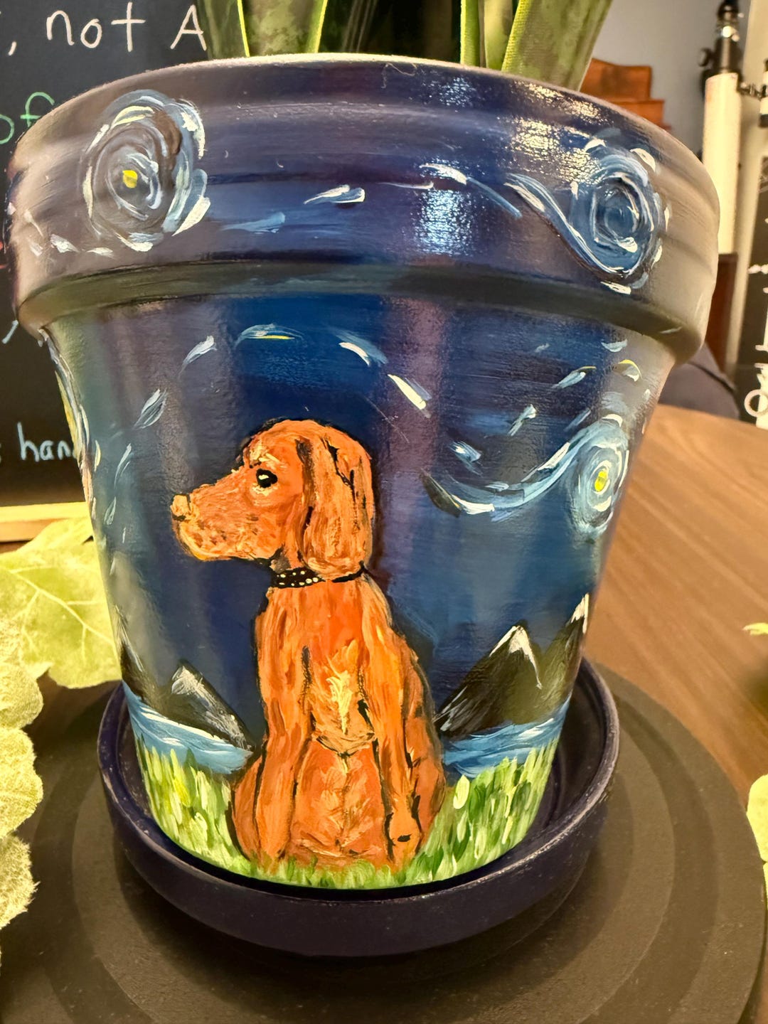 Custom Starry Night Pet Pots 6 Inch Paw-traits Under the Stars - One of ...