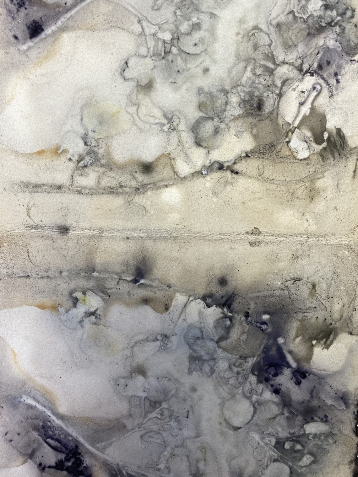 Botanical Collage Mini Class - Etsy