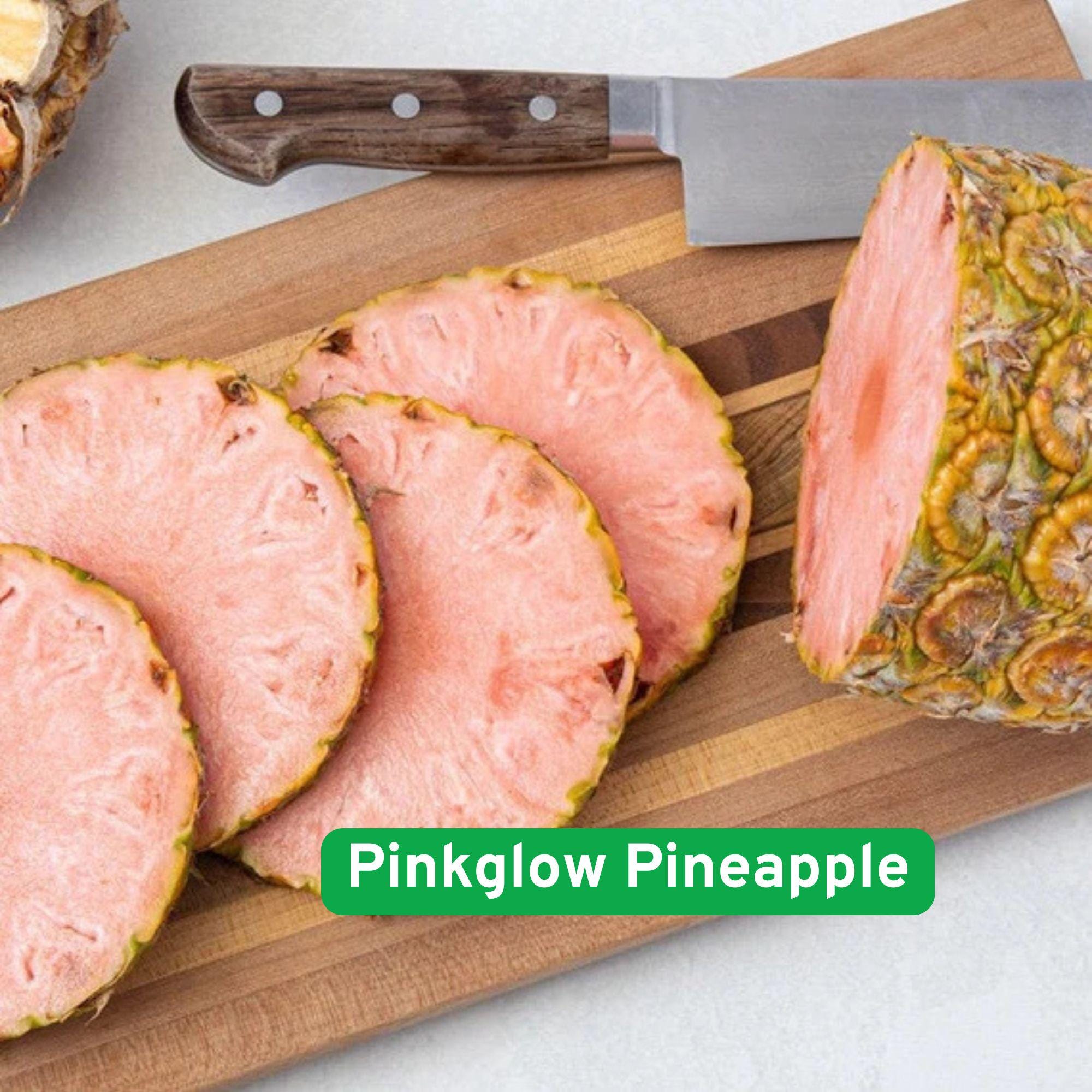 15 Pinkglow Pineapple Seeds, Rare Pink Flesh Fruit, Tropical Garden ...