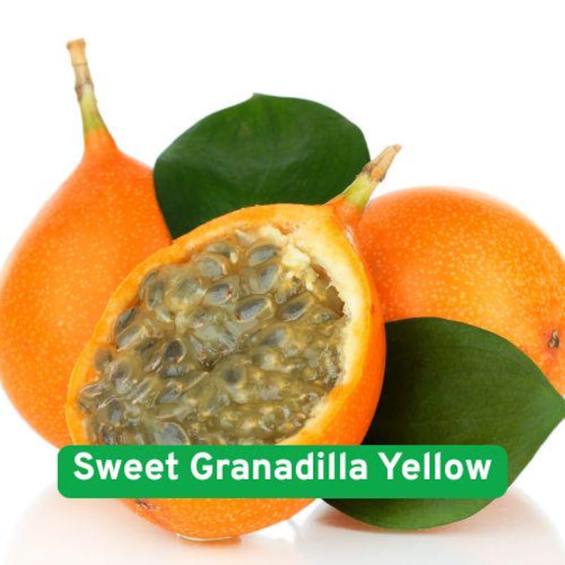 Sweet Granadilla Yellow Passion Fruit Seeds, Passiflora Ligularis, Rare ...