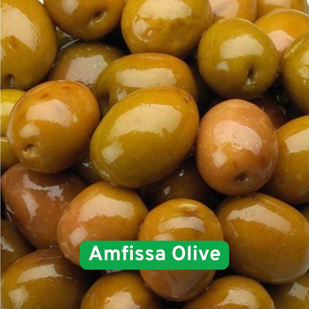 Amfissa Olive Tree Seeds - Authentic Greek Variety, Garden Planting - Etsy