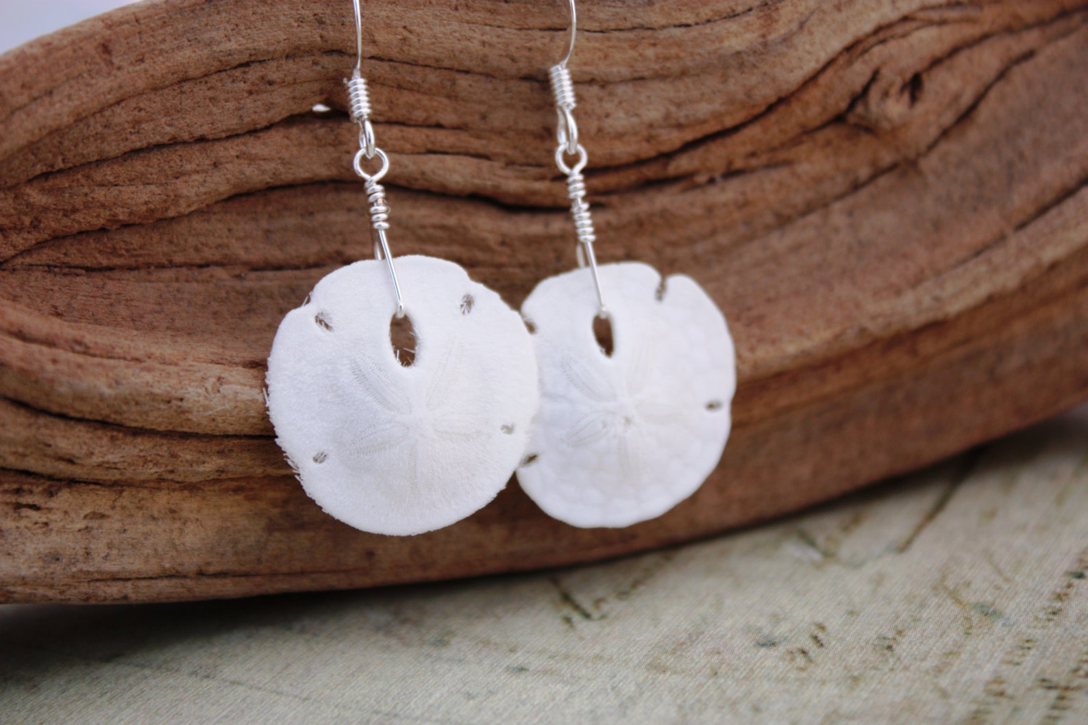Sand Dollar Earrings, White Sand Dollar Jewelry, Beach Jewelry ...