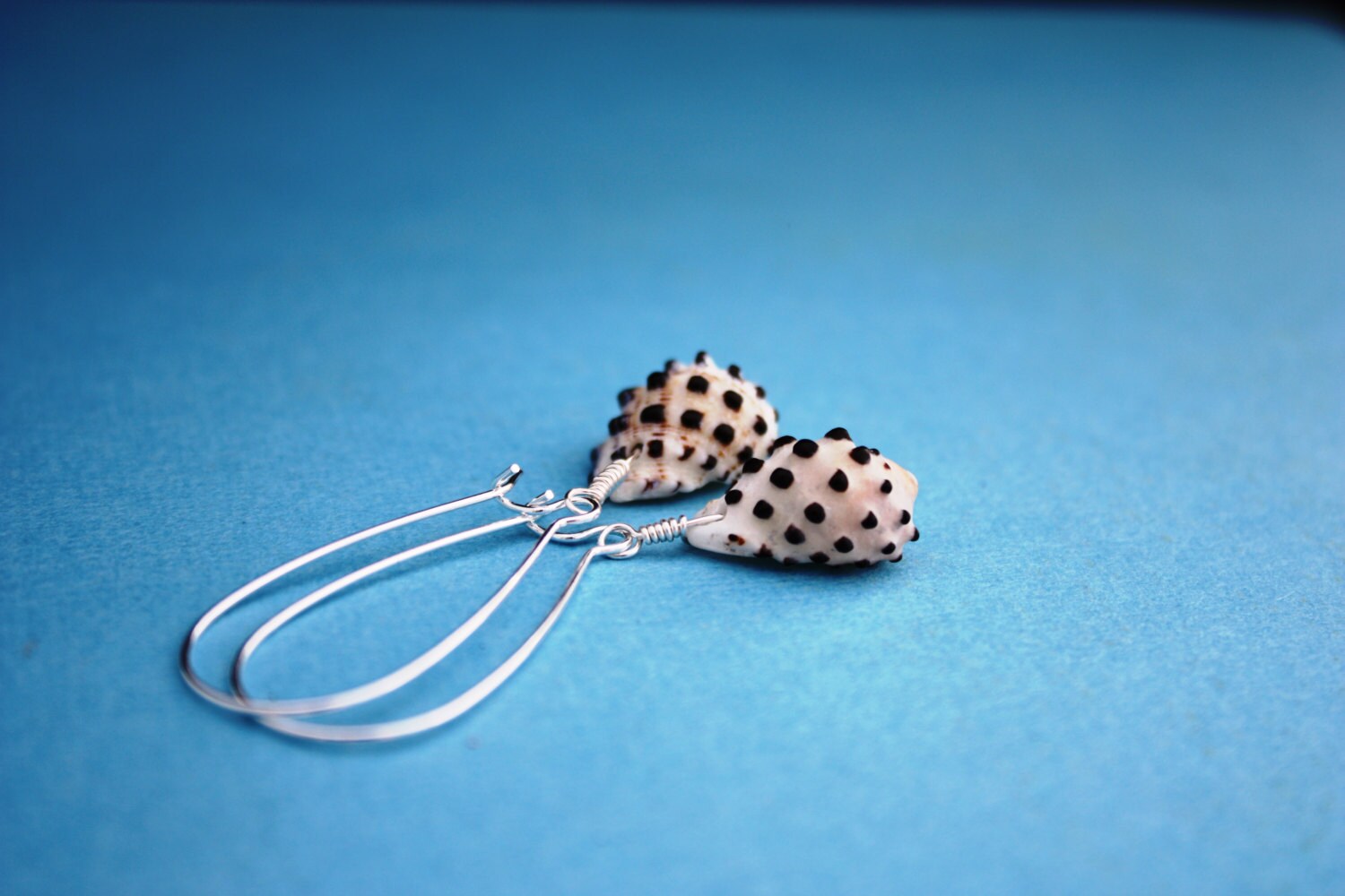 Shell Earrings Ocean Jewelry Sea Shell Earrings Seashell - Etsy