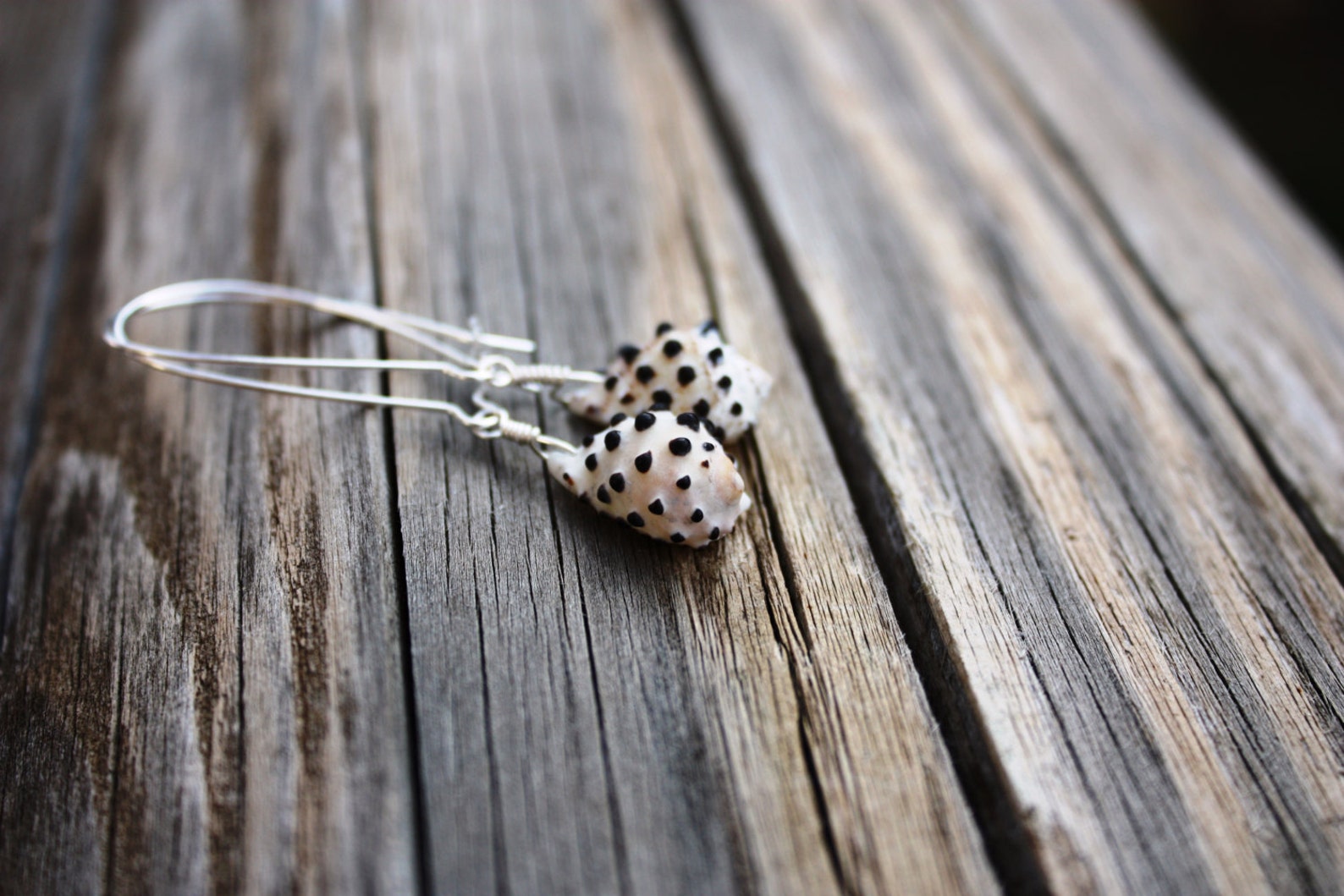 Shell Earrings Ocean Jewelry Sea Shell Earrings Seashell | Etsy