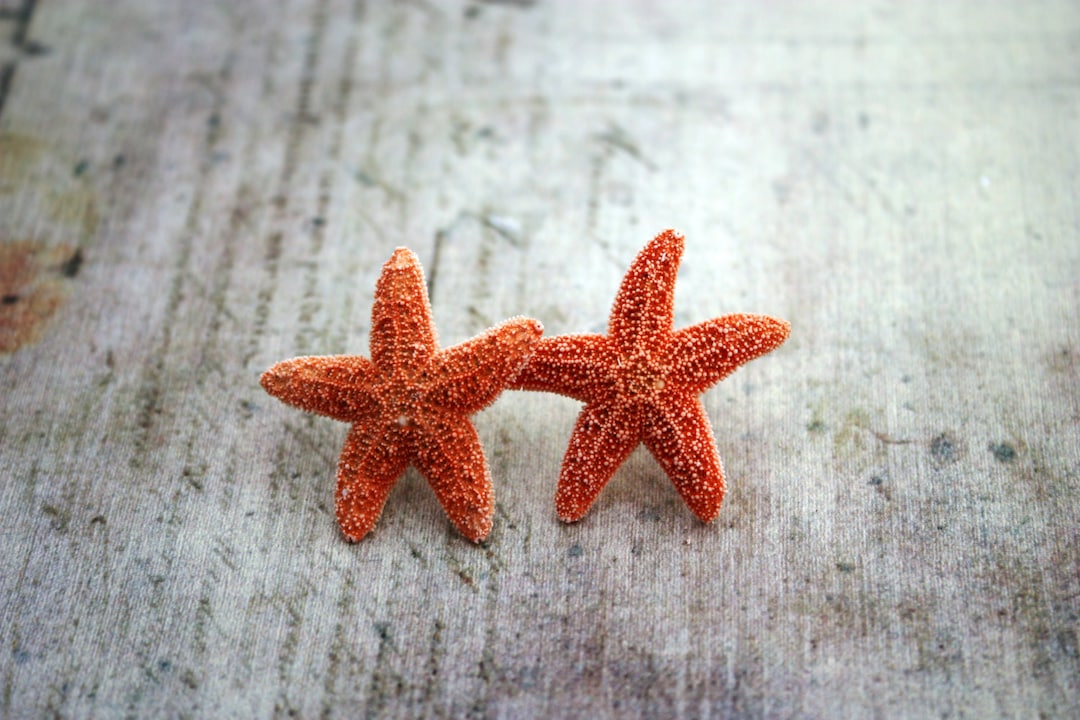 Aquamarine starfish earrings store