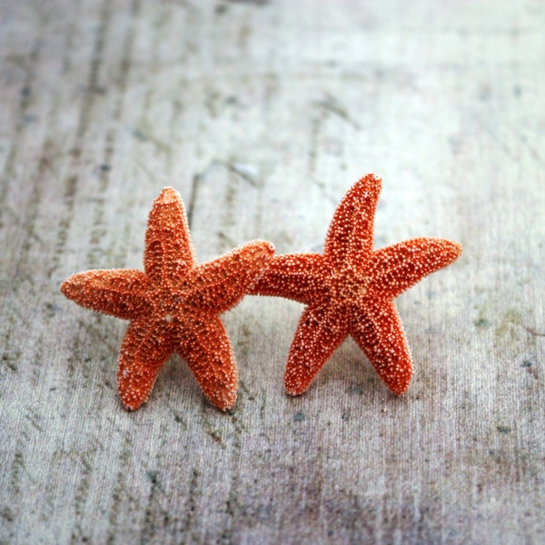 Starfish Earrings - Etsy