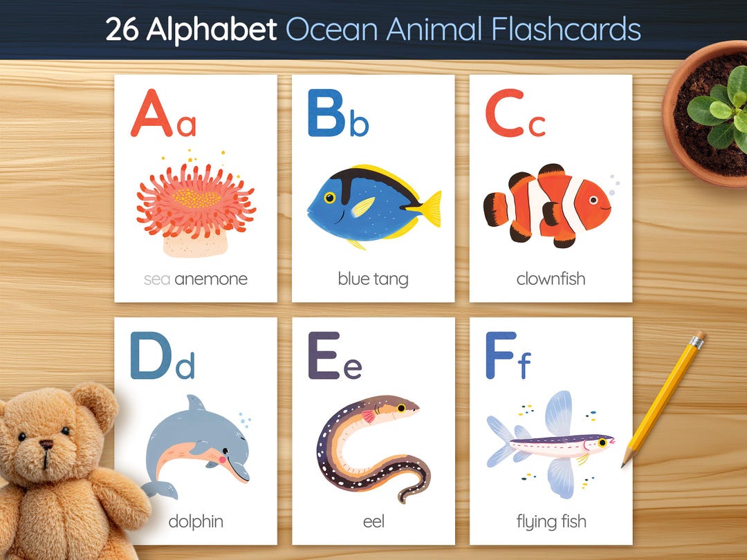 Ocean Animal Alphabet Flashcards for Kids – A to Z Printable ABC Cards ...
