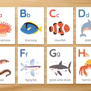 Ocean Animal Alphabet Flashcards for Kids – A to Z Printable ABC Cards ...