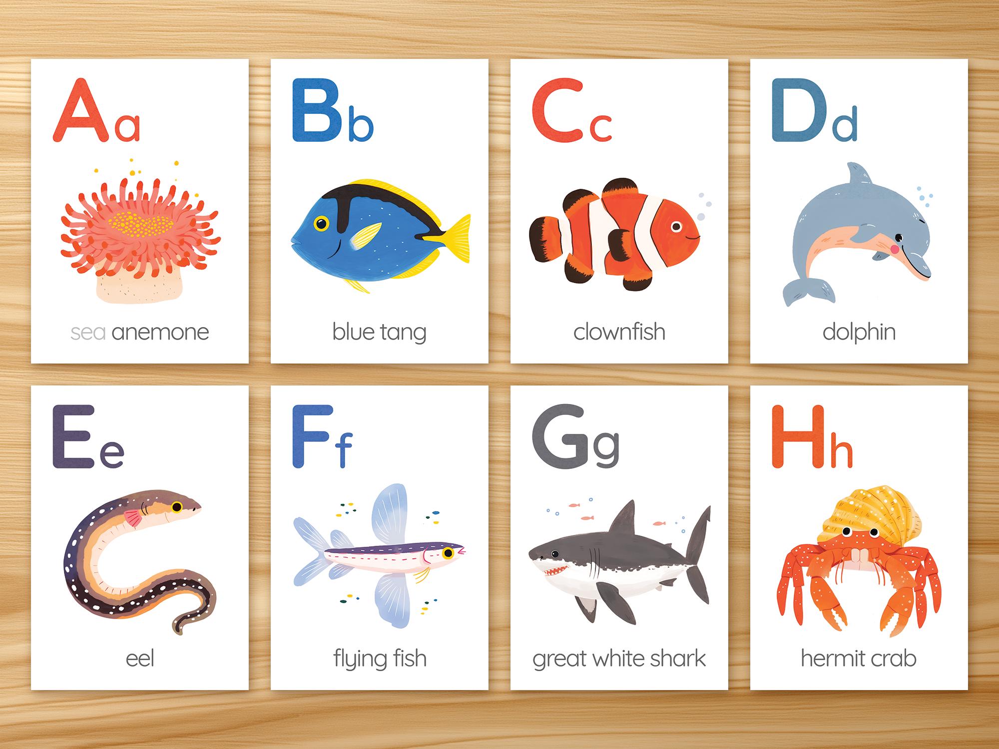 Ocean Animal Alphabet Flashcards for Kids – A to Z Printable ABC Cards ...