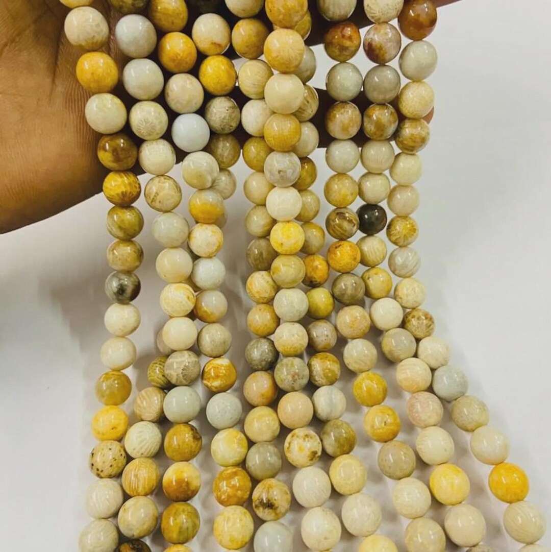Natural Fossil Coral Gemstone Round Beads Strands, Smooth Round Balls ...