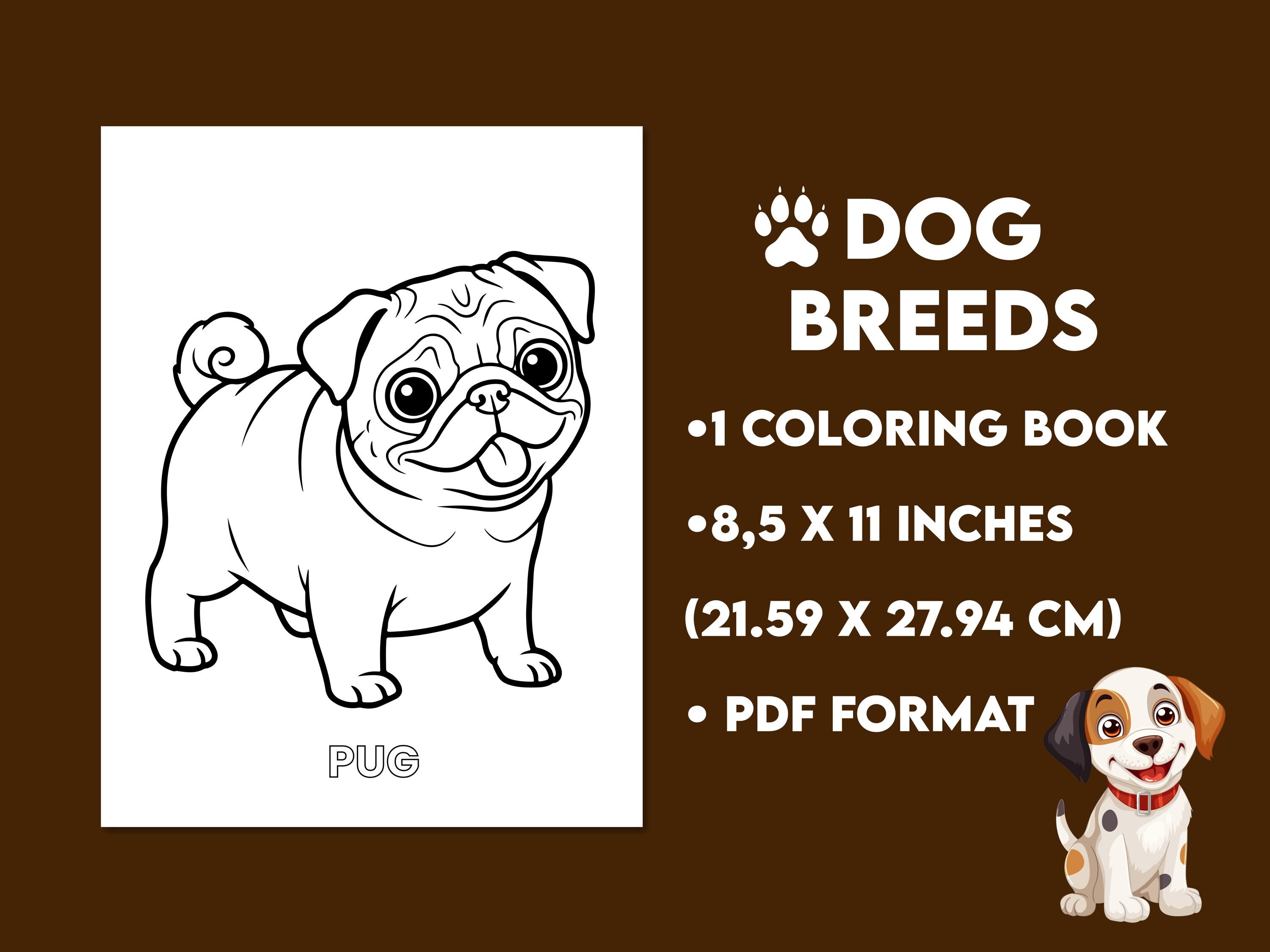 20 Dog Breed Coloring Pages, Dog Breed Coloring Book - Etsy