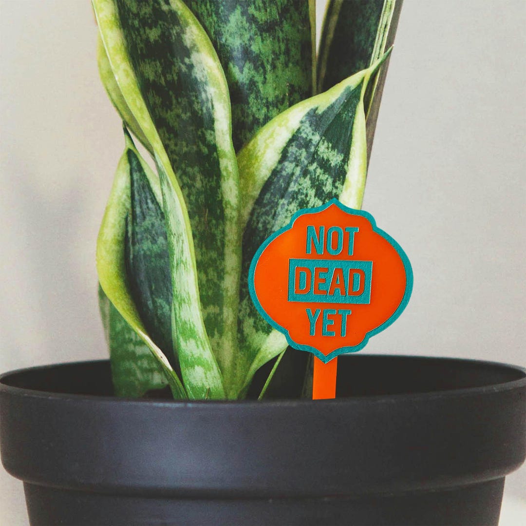Not Dead Yet, Funny Planter Stick, Plant Label, Acrylic Planter Label ...