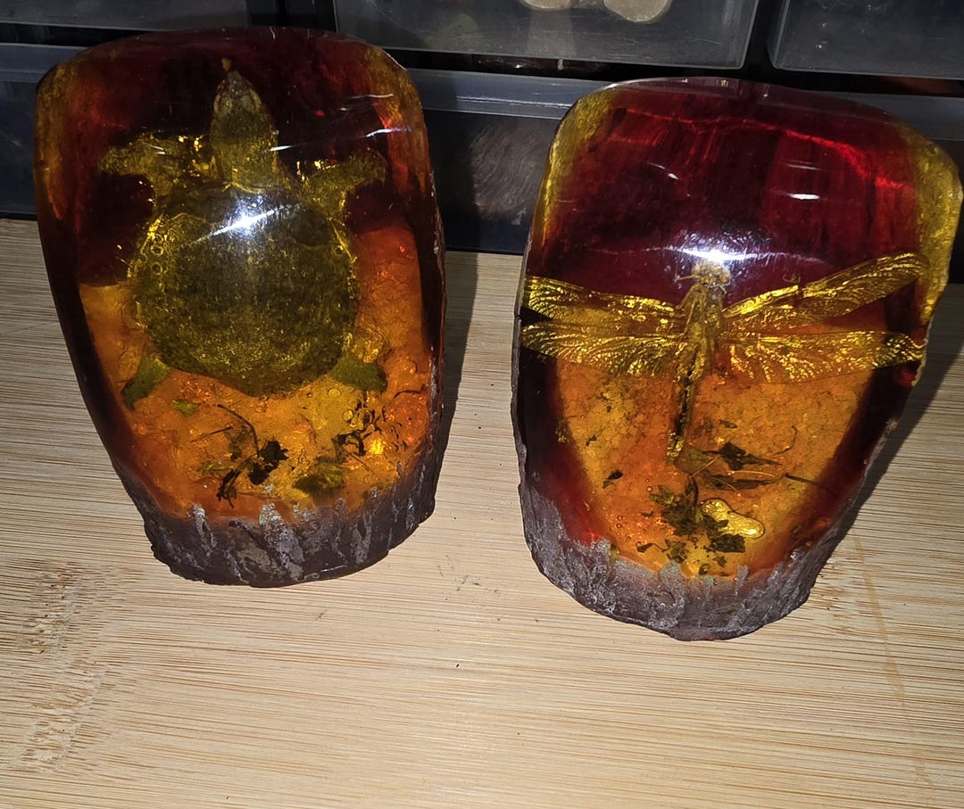 Amber Resin Creature Specimen Displays - Etsy