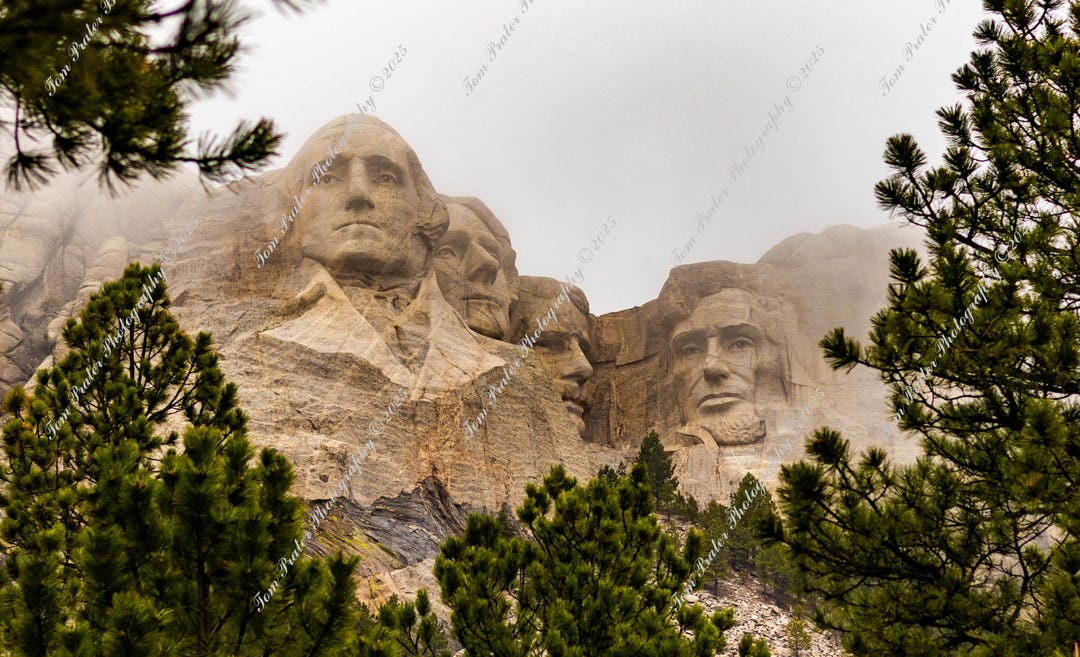 Mount Rushmore Through the Pines – Historic Landmark Photography ...
