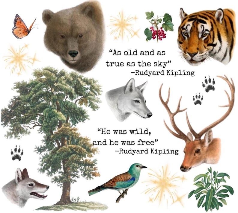 Jungle Book Inspired Sticker Pack, Animal Stickers, Decals ...