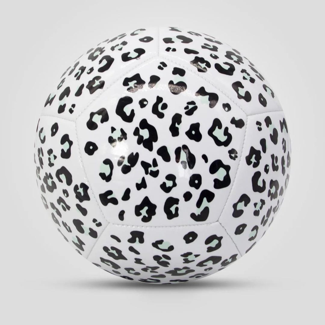 Leopard Print Football – Size 5, Lioness Gift - Etsy