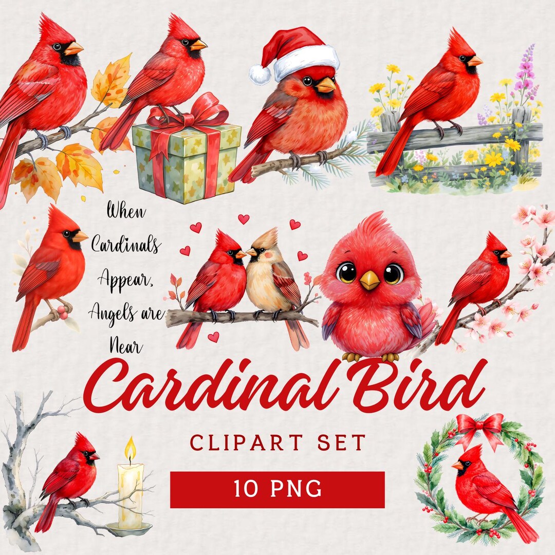 Cardinal Bird Clipart Set – 10 PNG Red Cardinals for Christmas, Fall ...