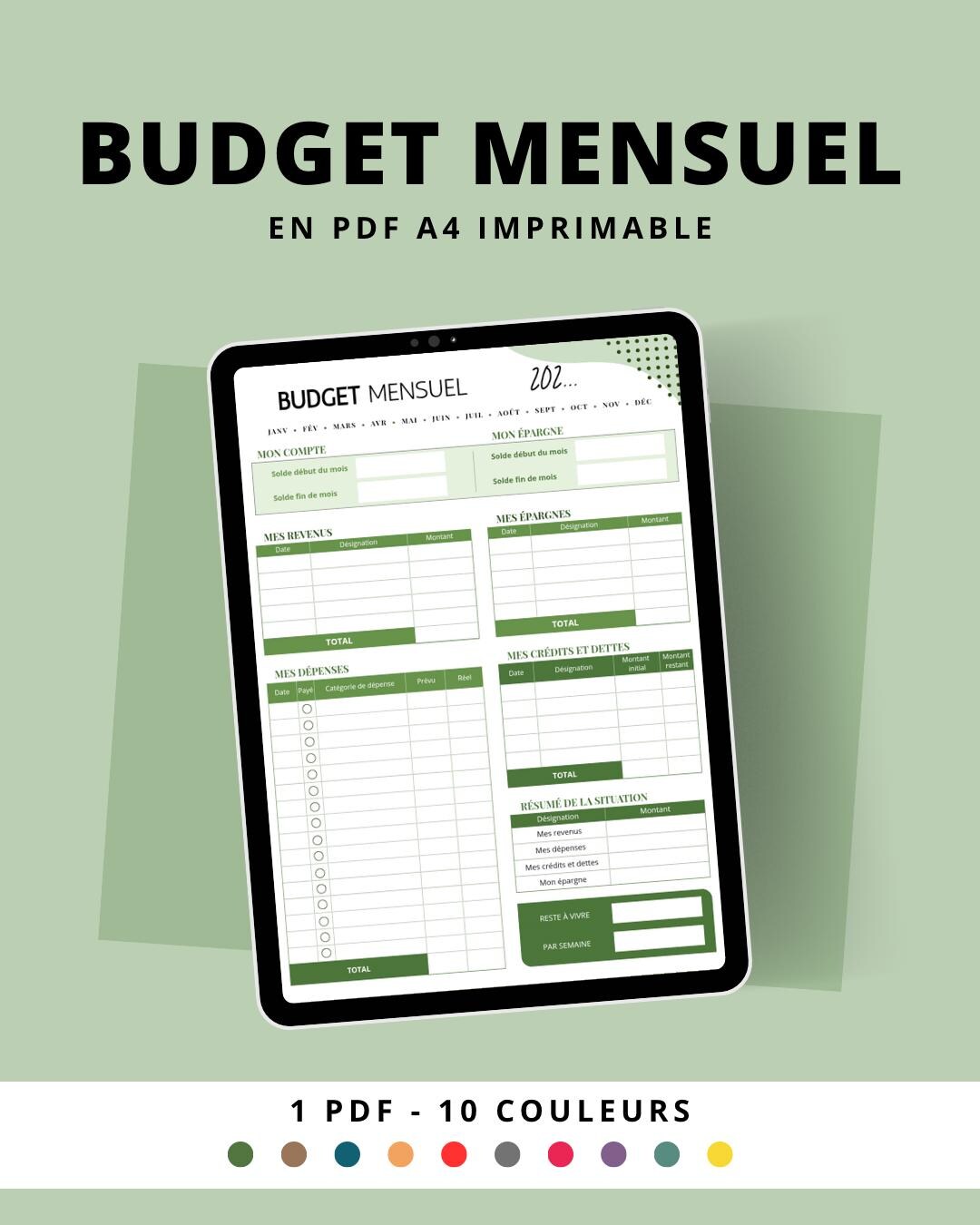 A4 Printable Monthly Budget | 10 Colors | Downloadable | Monthly ...