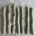 Indian Moringa Plant Moringa Gum Gond Cuttings Shejan Drumstick Moringa ...
