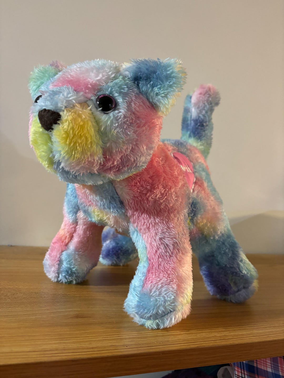 Keepsake Kitten, Memory Kitty Cat Made From Your Loved One's Clothing ...