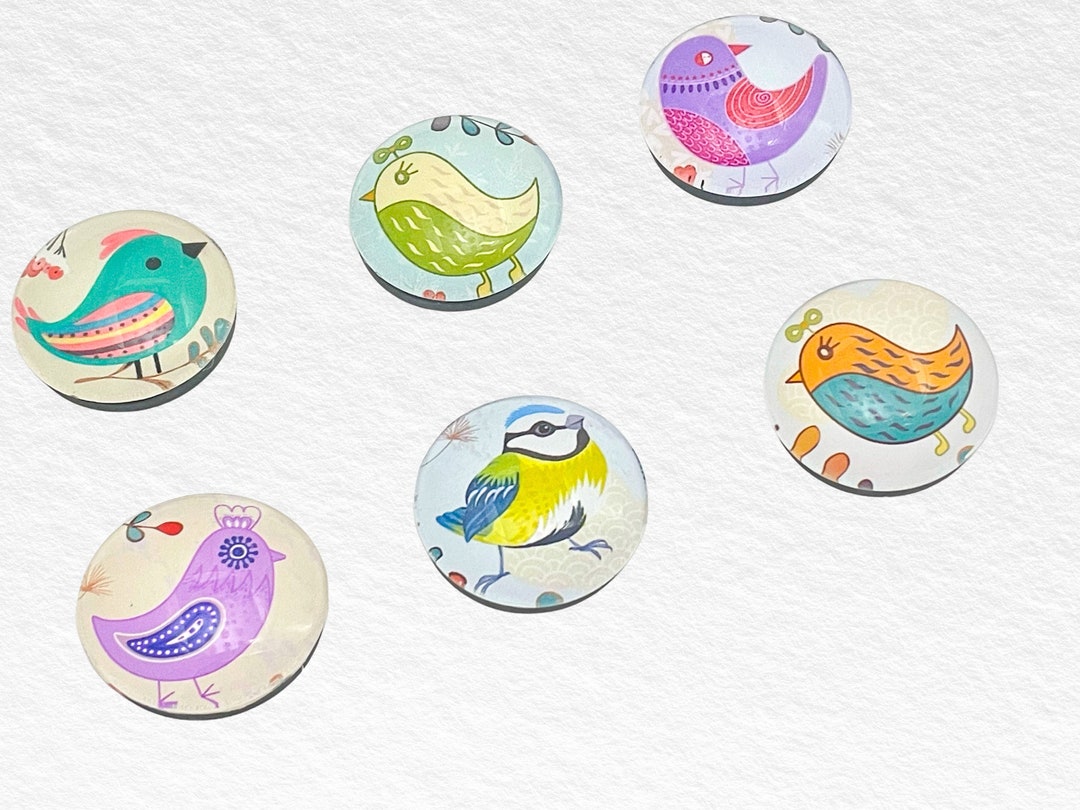 Little Birds Refrigerator Magnets, Strong Office Magnets, Teacher ...
