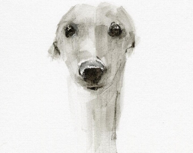 Sighthound Ink Drawing, Whippet Fine Art Art Dog Sketch Whippet Gift ...