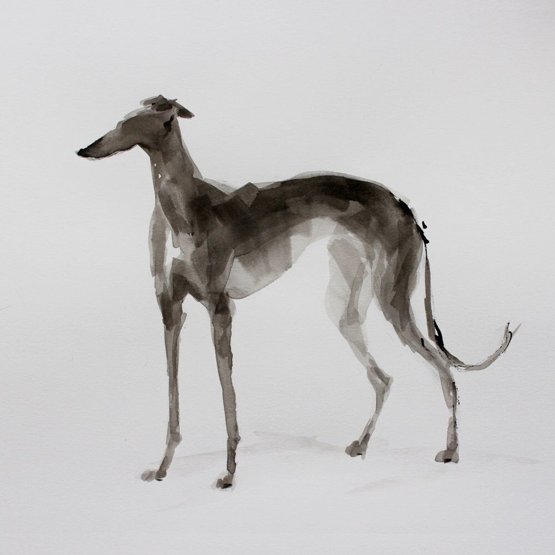 Greyhound Ink Drawing, Original Art, Sighthound Fine Art - Art Dog ...