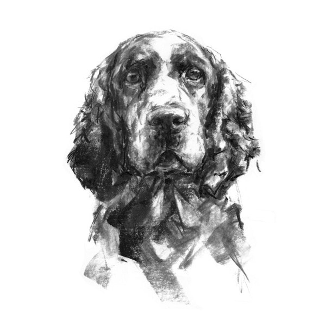 Dog Drawing Print Springer Spaniel Portrait Fine Art Dog - Etsy