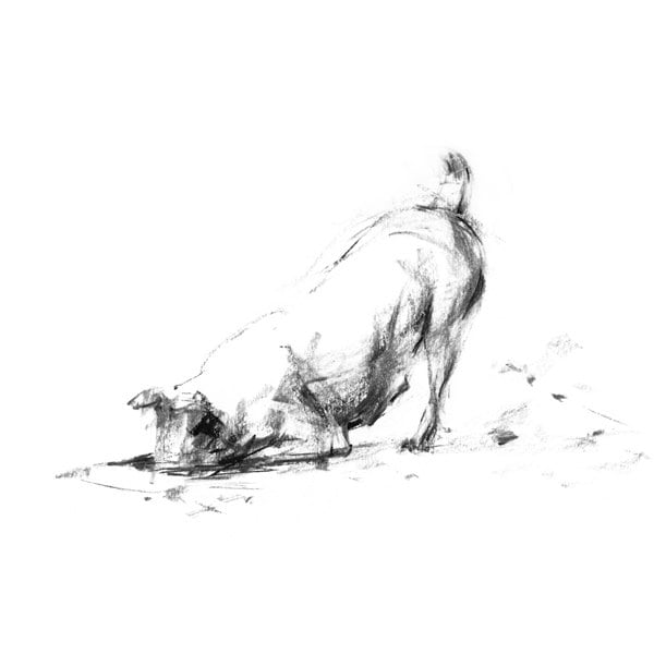 Dog Drawing Print Digging Terrier Fine Art Dog Print - Etsy