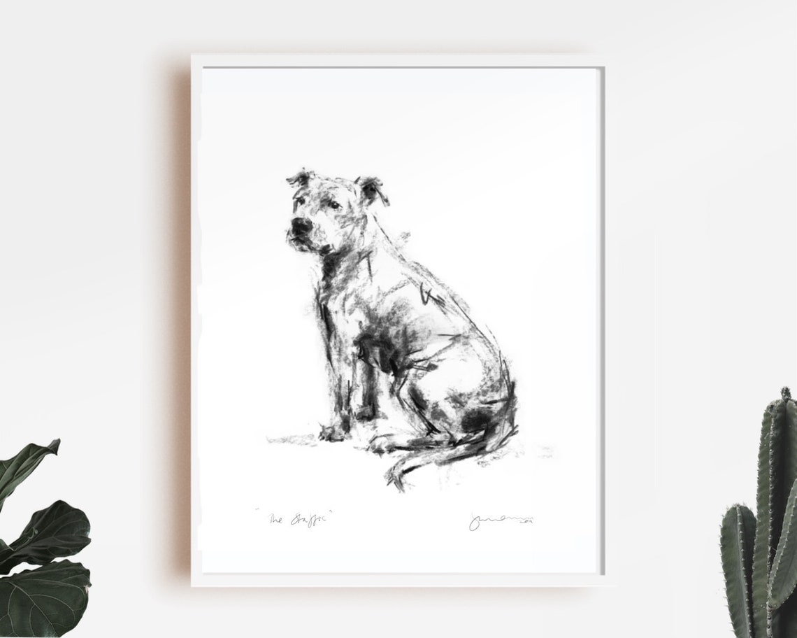 Dog Drawing Print Staffordshire Bull Terrier Staffie Dog | Etsy