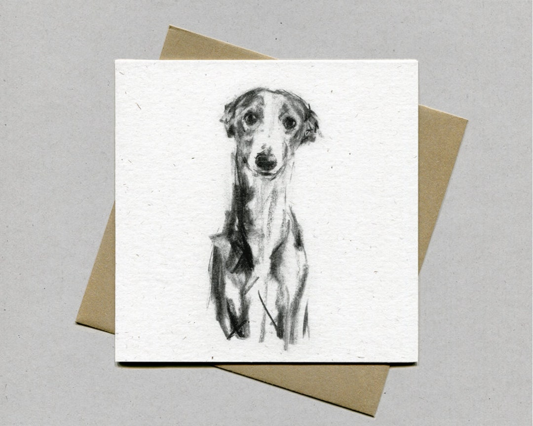 Whippet Portrait Gentle, Whippet Greetings Card - Whippet Gift, Whippet ...