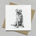 Dog Drawing Print, Welsh Terrier Drawing Fine Art Dog Print Welsh ...