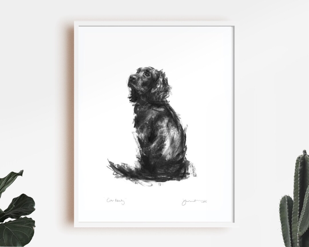 Black Spaniel Print, Dog Drawing Print, - Fine Art Dog Print - Spaniel ...
