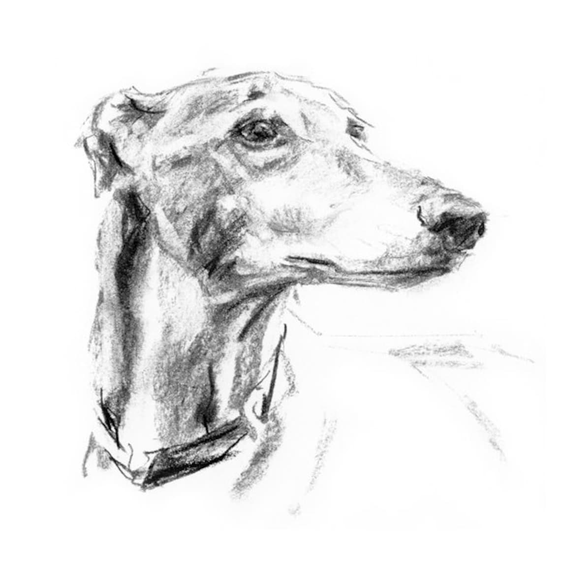 Dog Drawing Print Greyhound distance Fine Art | Etsy