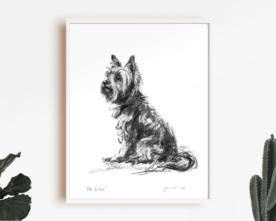 Yorkshire Terrier Print - Fine Art Dog Print - Yorkie Gift, Yorkie ...